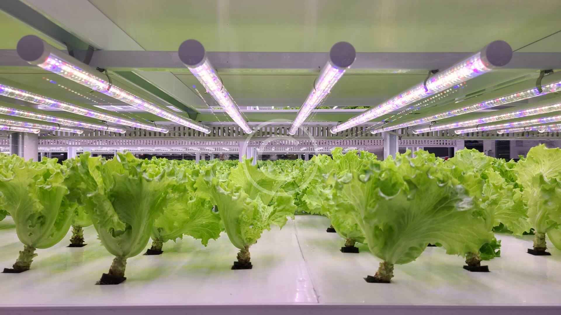 How to manage multiple container farms – Kutsaga