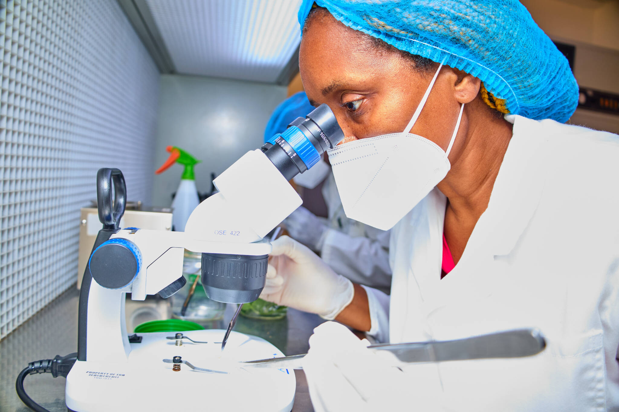 GENETICS, BIOTECHNOLOGY & BIOINNOVATION (GBB) – Kutsaga